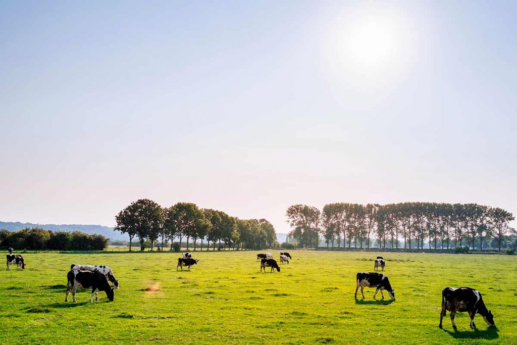 Gaz vert : Définition, Offres et Garanties d'origine